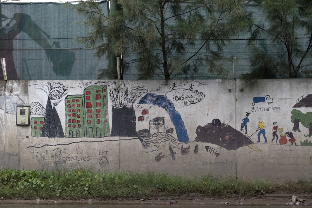 Toxic Exposure and Constructing Environmental Rights in Latin American ...