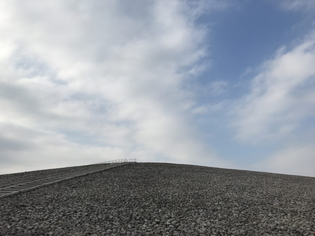 The Other Uncertainty: The View from Disaster History – Items