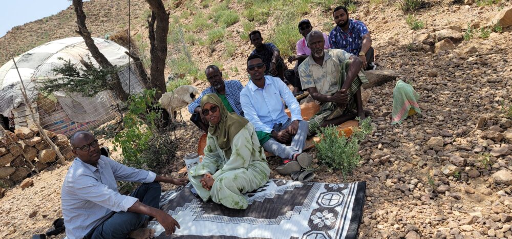 Decolonization, Decoloniality, and the Future of African Studies: A Conversation with Dr. Sabelo ...